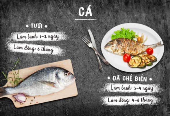 50+ Bộ Thiết Kế Menu Hải Sản Đẹp Mắt Nhất