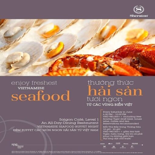 50+ Bộ Thiết Kế Menu Hải Sản Đẹp Mắt Nhất