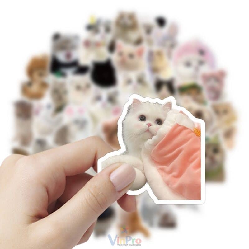 55+ Mẫu Sticker Mèo Cute, Dễ Thương Được Yêu Thích Nhất - In Nhanh VinPro